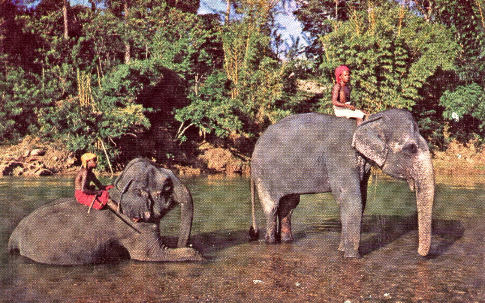 Kandy, Ceylon – Postcard Buzz