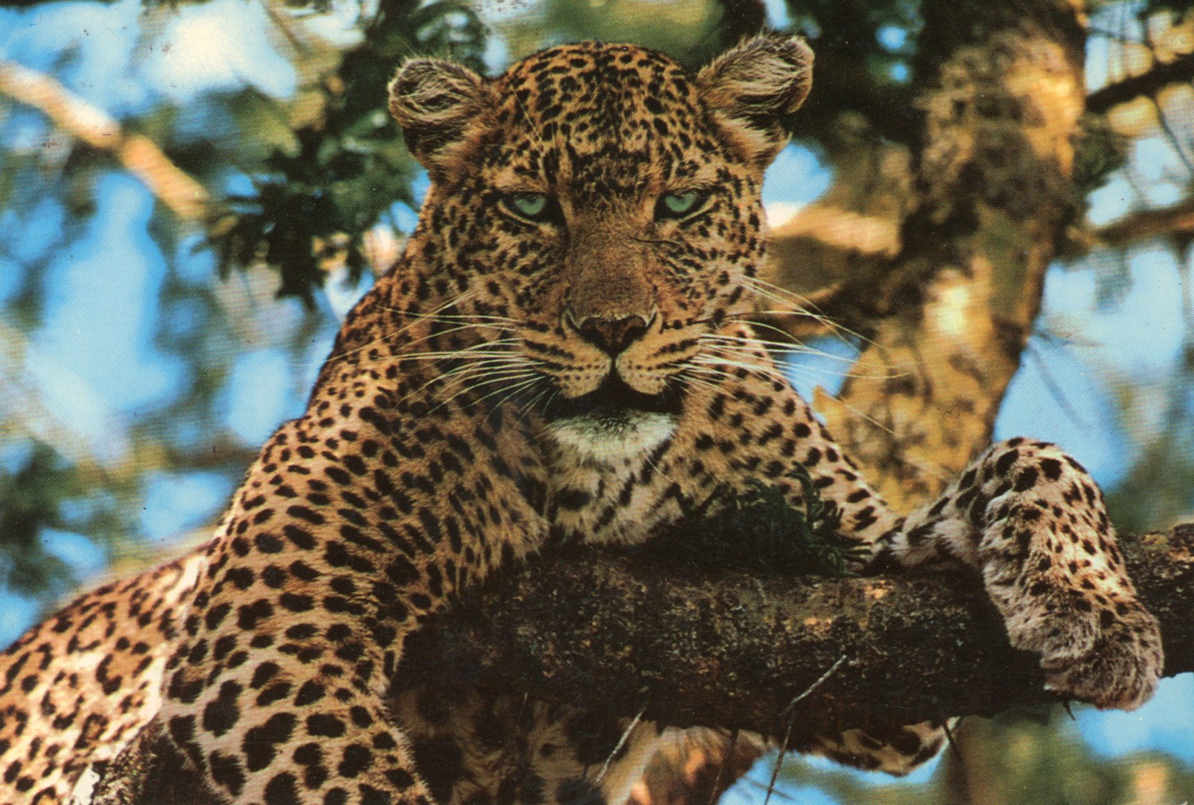 East Africa – Postcard Buzz